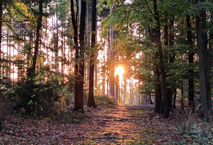 Kontakty | OK Flora Fauna